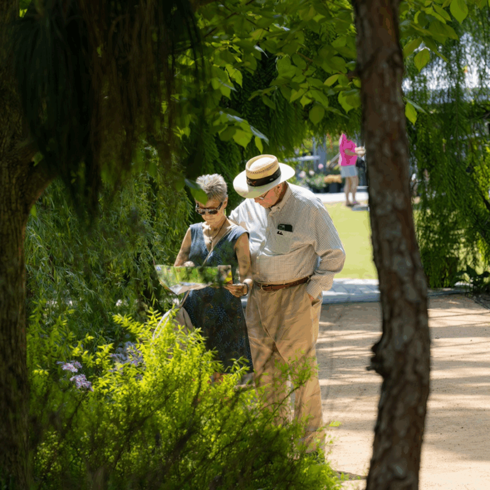 Visit Florence, SC | Things to Do, Events & Travel Guide